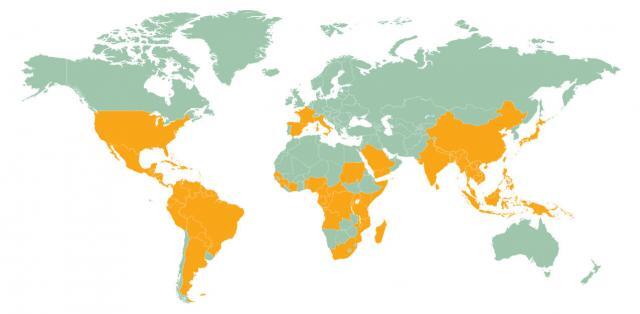 Le chikungunya est une maladie infectieuse virale | Care Plus®